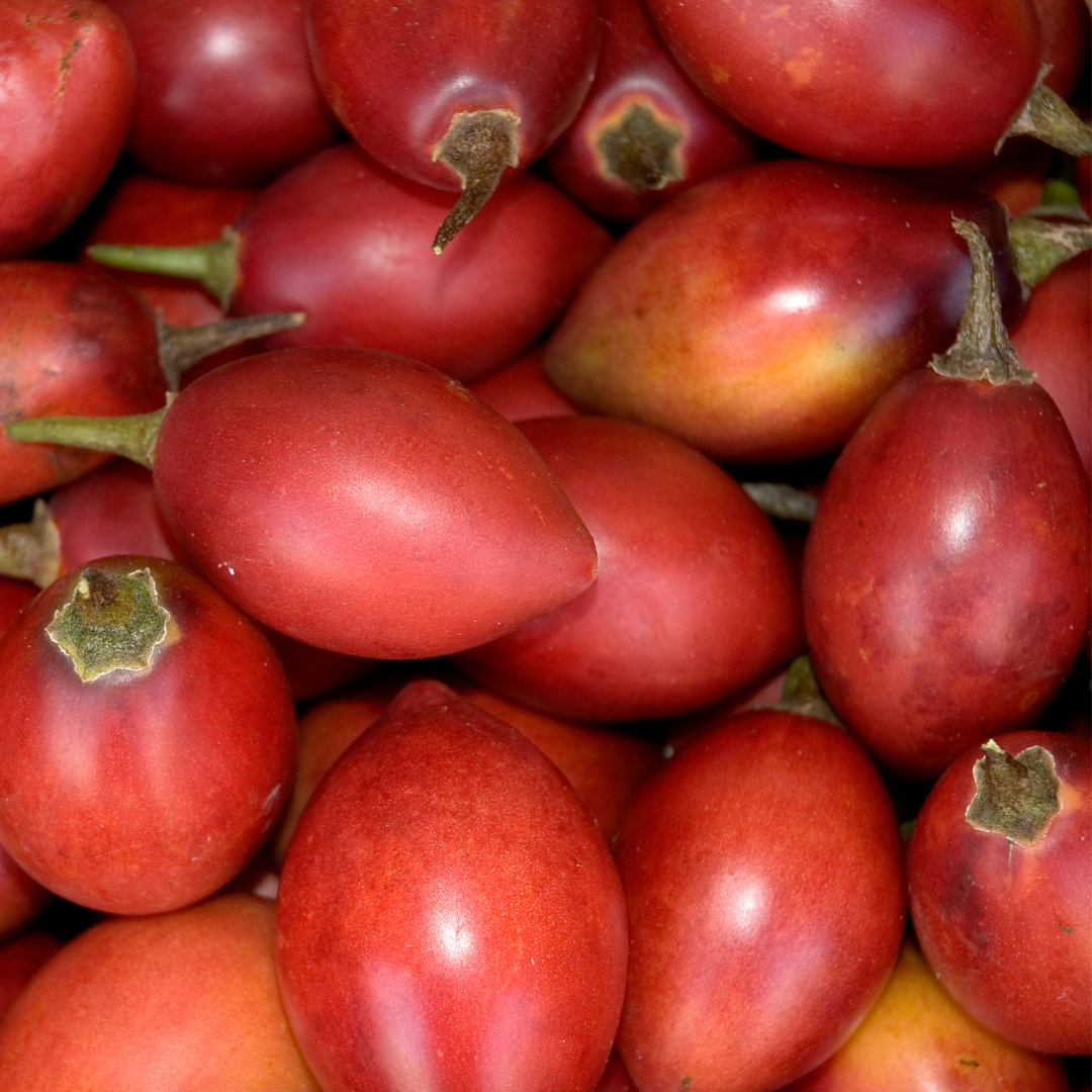 TAMARILLO RED – Feijoa Addiction